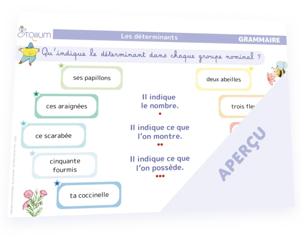 Les déterminants | Etoilium